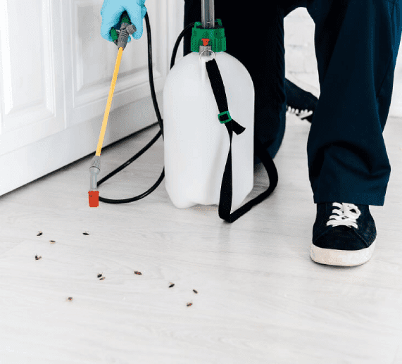 Prudent Pest Control