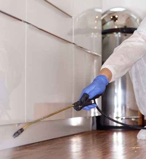 Prudent Pest Control